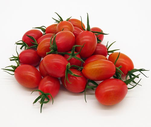 Tomatenvielfalt » Brunen Gartenbaubetrieb » 25 Tomatensorten